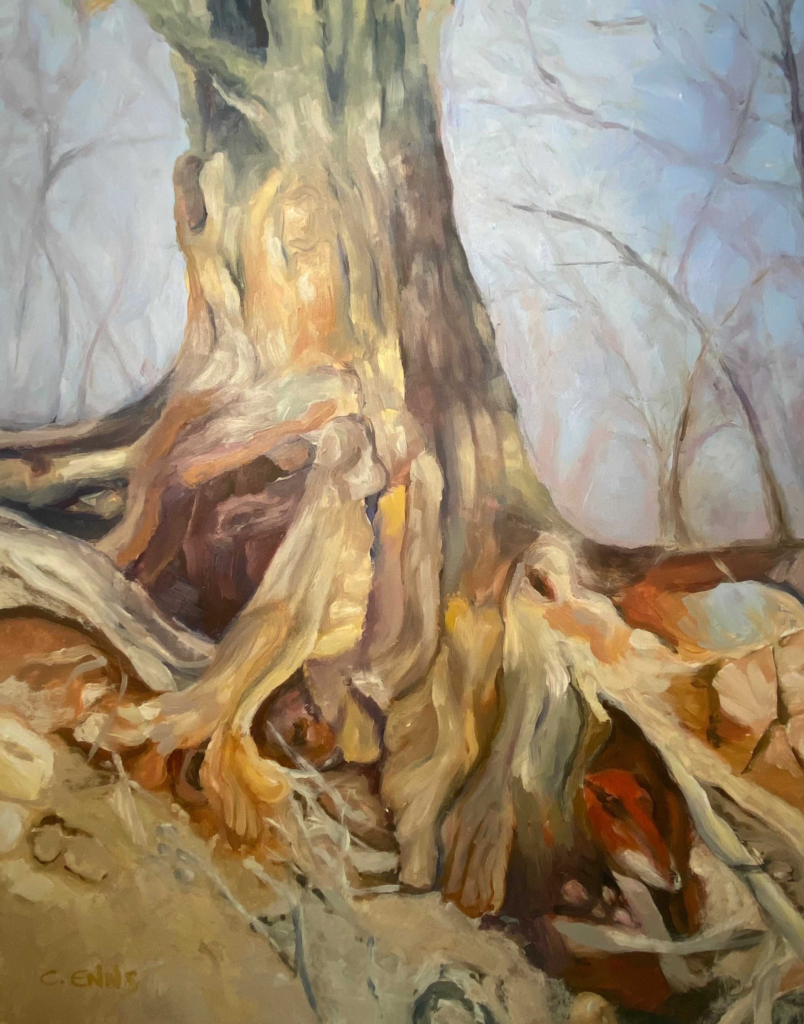 "Portrait of a Tree" – c.enns